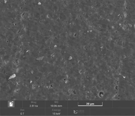 Sem Micrograph Of A Typical Freshly Fractured Cross Section Through A Download Scientific