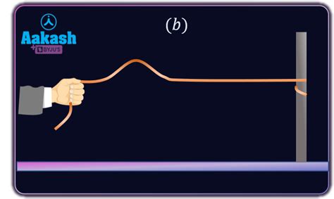 Transverse Wave Definition Terminology And Speed Of Wave On String Physics Aakash Aesl