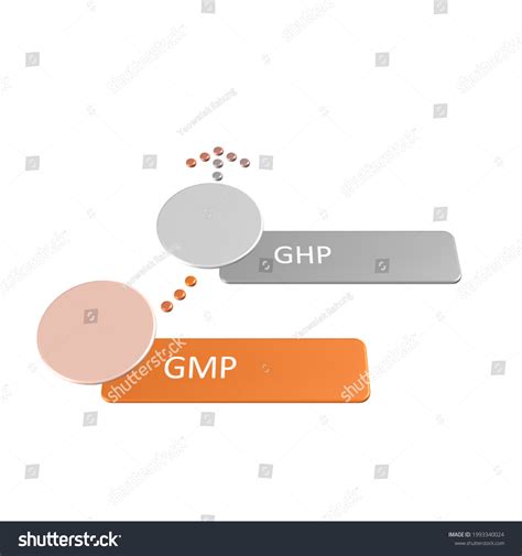 Food Hygiene Gmp Standard Changed Good Stock Illustration Shutterstock