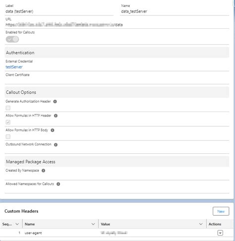 Authentication External Credential Custom Headers Not Working In