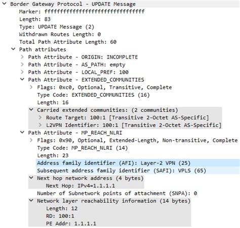 un brin de réseau — vpls ldp vs bgp