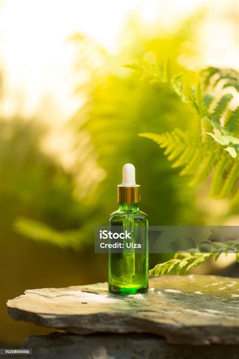 화장품 녹색 유리 병은 고사리가있는 배경에 대해 나무 뿌리에 기름을 바르고 있습니다 친환경 천연물 0명에 대한 스톡 사진 및 기타 이미지 Istock