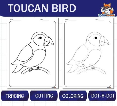 Toucan Bird Cutting And Coloring Templates 5 Printable Pages