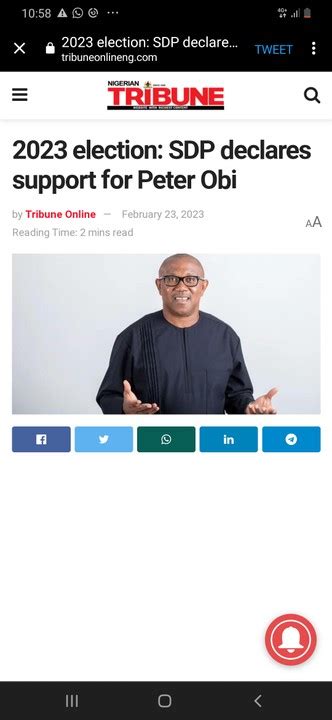 Sdp Collapse Structure For Labour Party Politics Nigeria