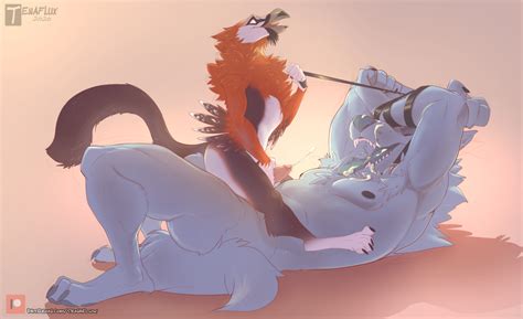 Rule 34 Amos Accipitrid Accipitriform Anal Anthro Avian Bearded