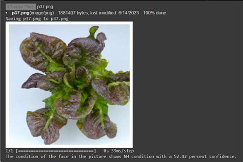 Figure 1 From Classification Of Nutrient Deficiencies Based On Leaf Image In Hydroponic Lettuce