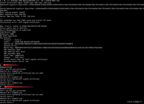 Rocketmq Tls Client Initiated 重协商攻击cve 2011 1473 Csdn博客