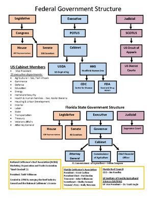 State Government Chart
