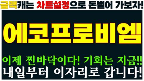 에코프로비엠 주식 나만 알고 있었는데차트설정 이대로만 해보세요 돈 들어옴 에코프로비엠차트분석 에코프로비엠전략 양극재관련주 Youtube