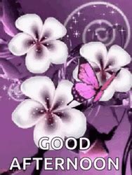 Good Afternoon Happy Monday S Download And Share