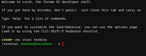 40 Handy Chrome Os Commands To Run In Crosh 2022 Beebom