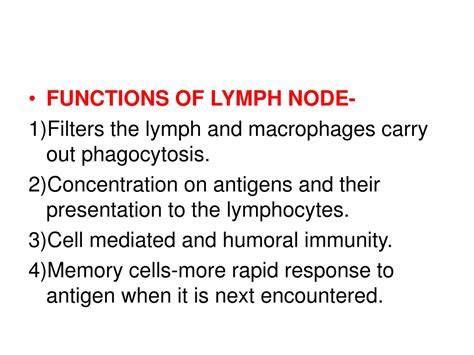 Ppt Lymph Node And Spleen Powerpoint Presentation Free Download