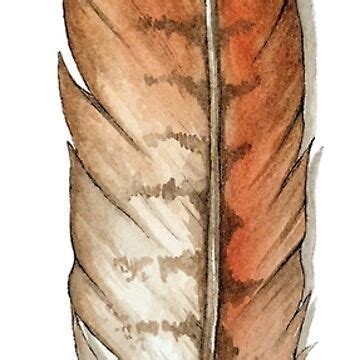 Red Tailed Hawk Feather Watercolor Art Print For Sale By Jess Mann In
