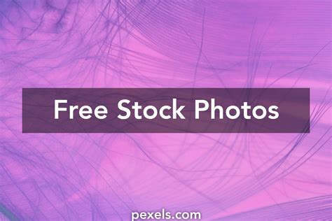 Colour Gradation Photos Download The Best Free Colour Gradation Stock