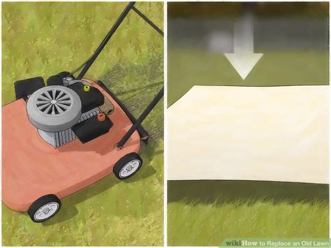 How To Replace An Old Lawn With Pictures WikiHow