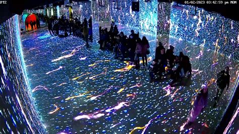 ციფული Tbilisi Digital Space თბილისის ციფრული სივრცე