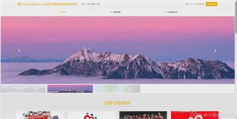 基于springbootvue的志愿者招募管理系统 可视化分析系统 Csdn博客