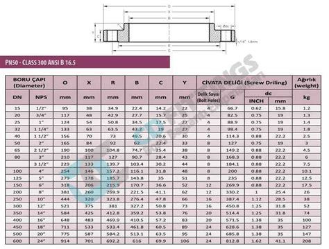 Pn 50 Class 300 Ansi B165