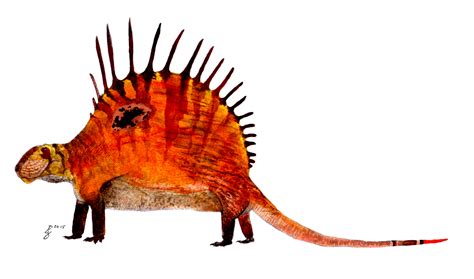 Palaeos La Historia De La Vida En La Tierra ¿tiene El Dimetrodon Una