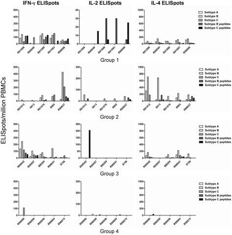 T Cell Elispot Responses 2 Weeks After The Last Immunization Positive