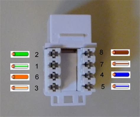 Cat6 Wall Socket Wiring Diagram