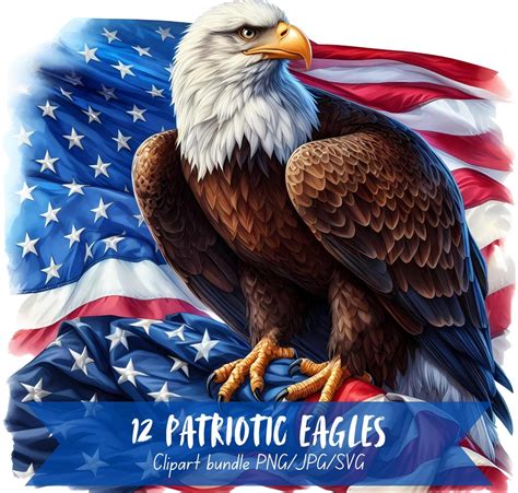 Patriotic Eagle Clipart Bundle Eagle Patriotic Graphic Bald Eagle