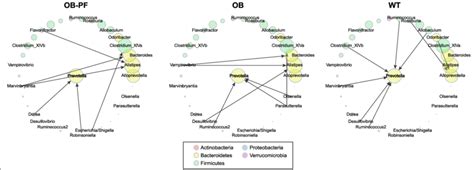 Granger Causality Networks At Genus Level Granger Causality Networks
