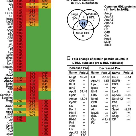 lipoprotein profile and l m s hdl subclass characterization of mouse