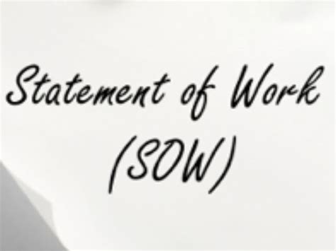 Just Drakes View The Vendor Statement Of Work