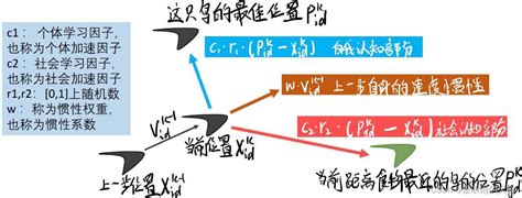 粒子群算法及通过惯性权重和学习因子对其进行改进—matlab实现 灰信网（软件开发博客聚合）