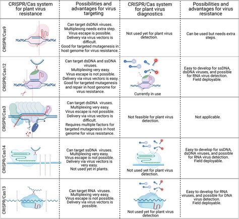Applications Of Crisrp Cas Systems Comparison Of Crispr Cas Systems For Download Scientific