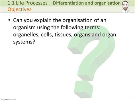 Mr Exham Igcse Cell Differentiation And Organisation Pptx