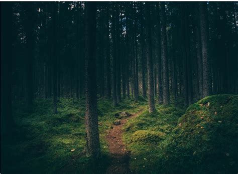 Bayesian Optimization What Is Bayesian Optimization How Does… By Renu Khandelwal