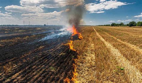 The Discrepancy Between Satellite Data Of Farm Fires And Air Pollution