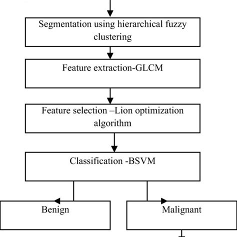 Functional Diagram Of The Proposed System Download Scientific Diagram