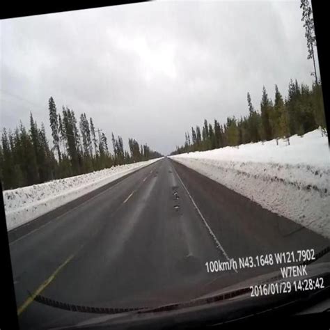 Try Instance Segmentation Dataset And Pre Trained Model By Road Damage Detection