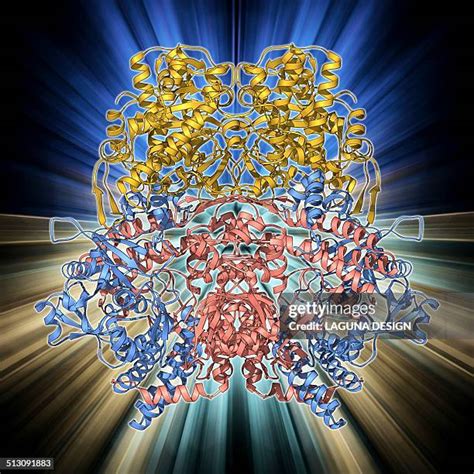 Bleomycin Photos And Premium High Res Pictures Getty Images