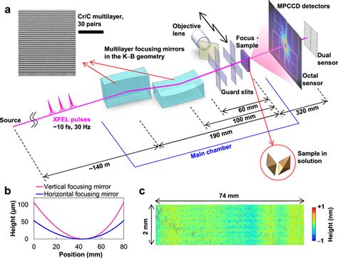 Diffractive Optics X Ray At Kristina Hertz Blog