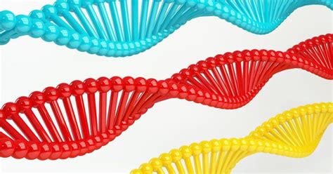 What Is Blast In Bioinformatics Simplified