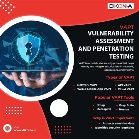Staysecure Cyberprotection Dikonia Dataprotection Vulnerabilitytesting Rijul Gupta