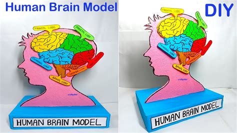 How To Make A Brain Model Using 3d Printing To Create Personalized