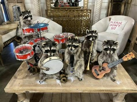 20 Funny Examples Of Taxidermy Gone Horrifically Wrong Demilked