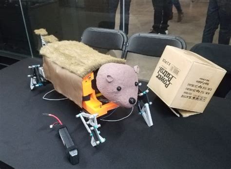 Robotter Robot Otter My Teams Senior Engineering Project Scrolller