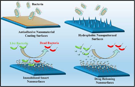 Frontiers Advances And Perspective On Antimicrobial Nanomaterials For