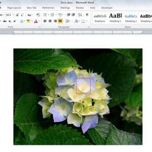Effective Ways To Insert A Picture Into Your Word Document