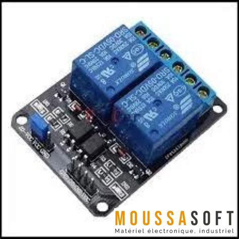 Module De 2 Relais 5v Pour Arduino Maroc Moussasoft