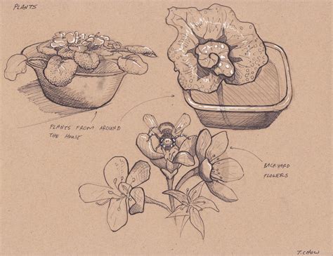 Tyler Chow Dynamic Sketching Week 2 Form And Texture