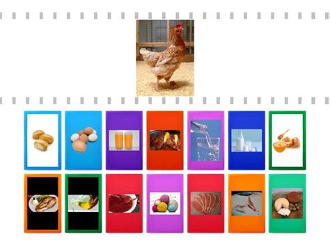 Origem Dos Materiais E Dos Alimentos Find The Match