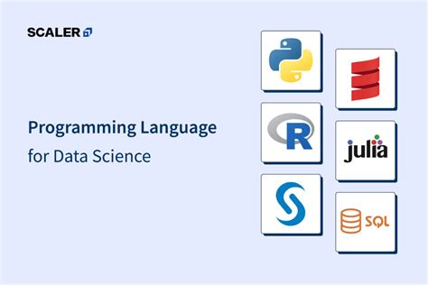 Top Programming Languages For Data Scientists 2025