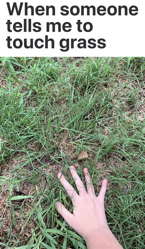 You Know That Grass R Antimeme